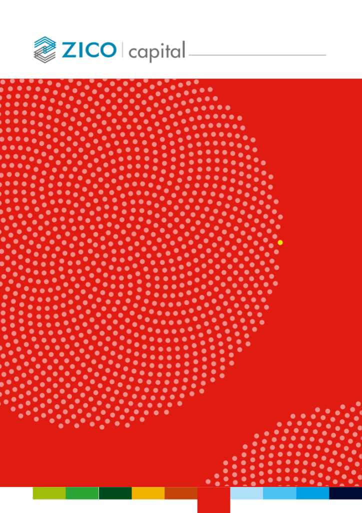 Corporate Finance - Zico Holdings